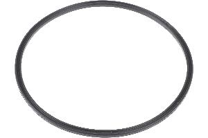 Fuel Pump O-Ring 8634839